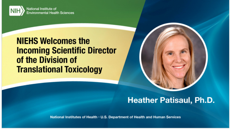 Heather Patisaul Named Scientific Director of the NIEHS Division of ...